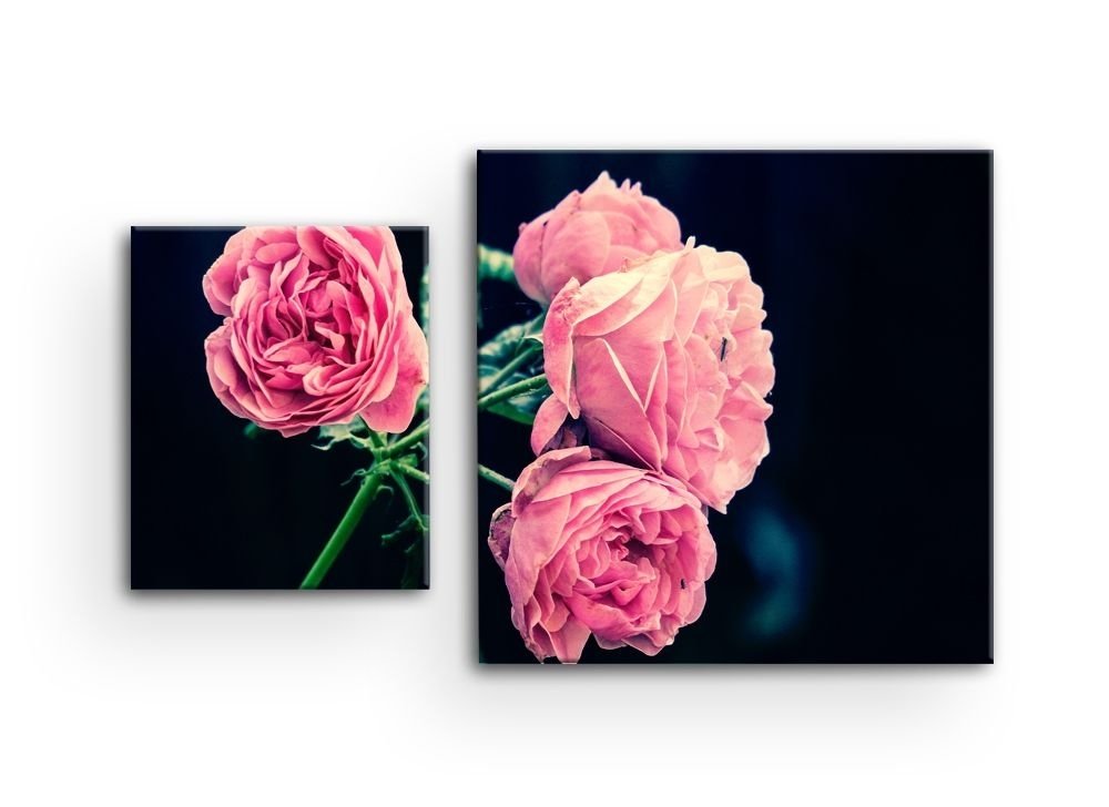 2 panel canvas prints | Tuscan Roses | Pixy Canvas